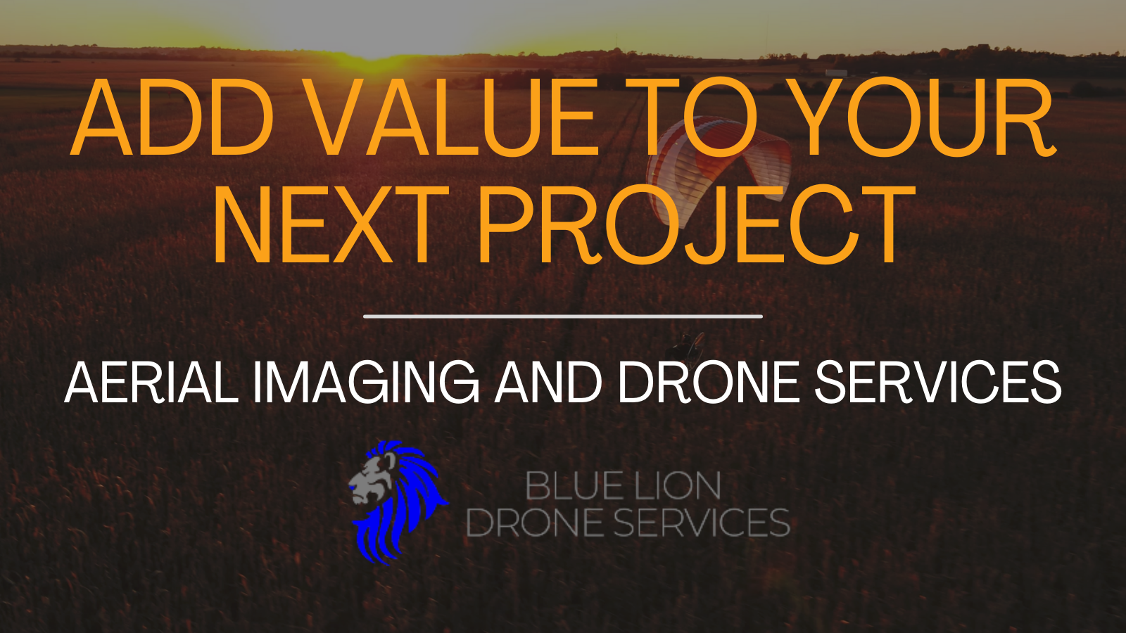 Home - Blue Lion Drone Services